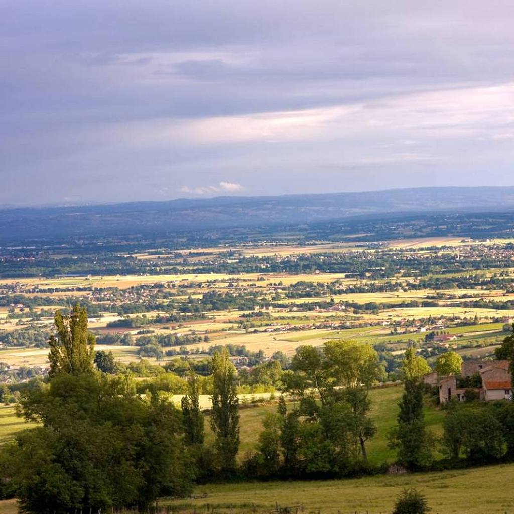 Que découvrir à Roanne